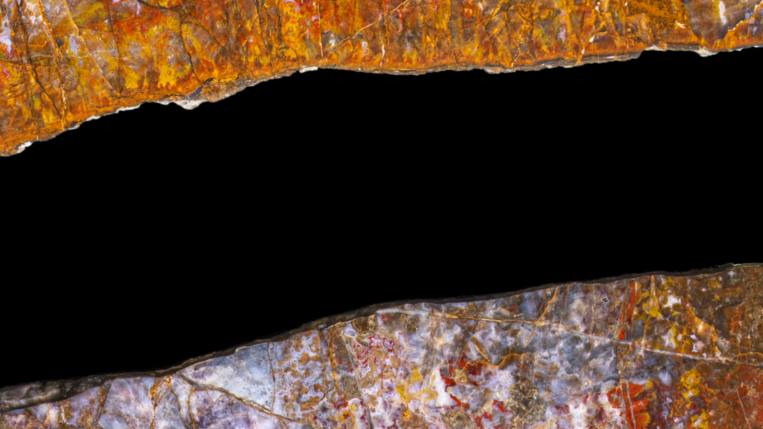 Aglitter – A COLLECTION OF NATURE’S INIMITABLE ART